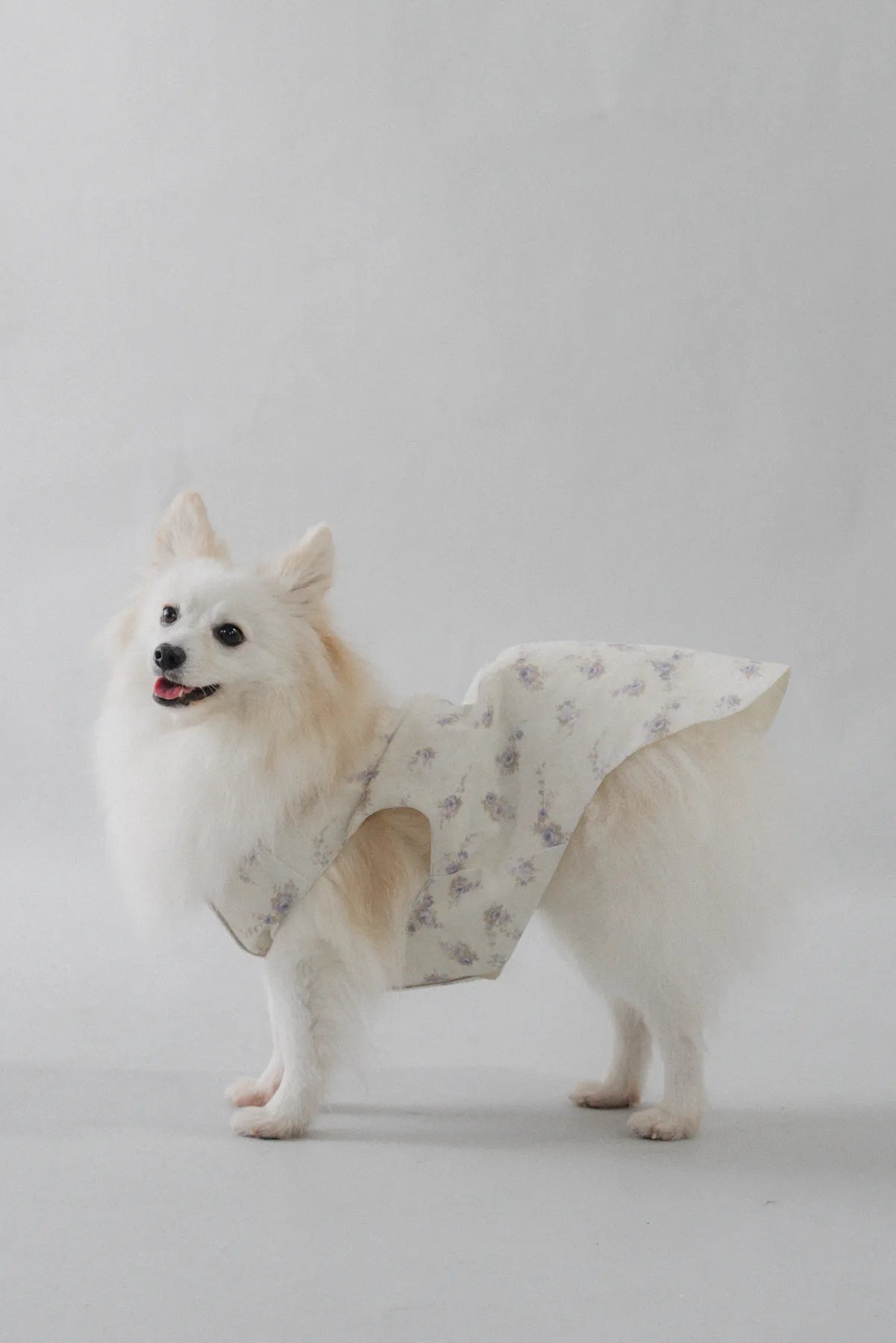 [COL HANA] Hana Matching Pet Vest – LIKKA